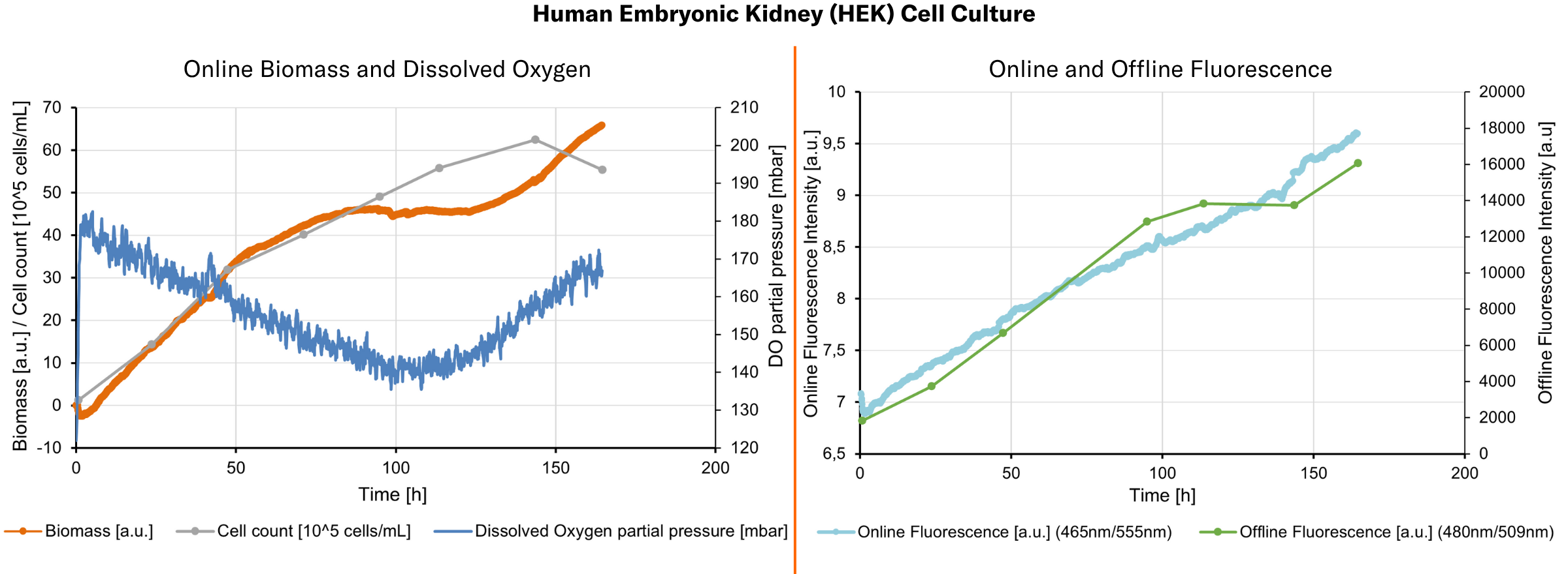 Data Spotlight - Biomass, DO, and Fluorescence in HEK Cell Cultivation